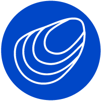 Extruded Square Netting - Conwed