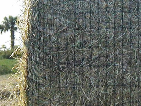 Containment - Conwed